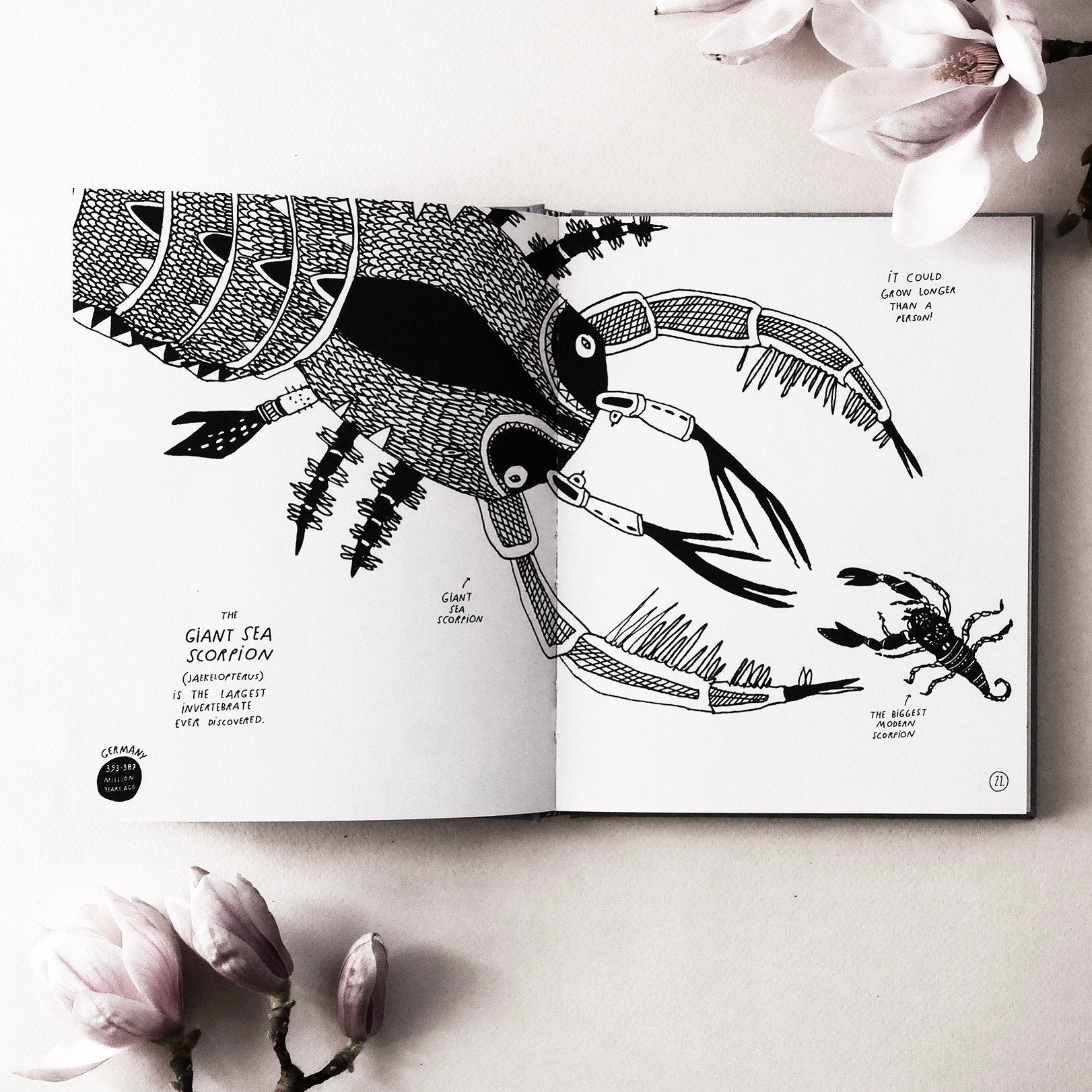 "Animals of a bygone era, an illustrated compendium" - Signed Copy + P ...